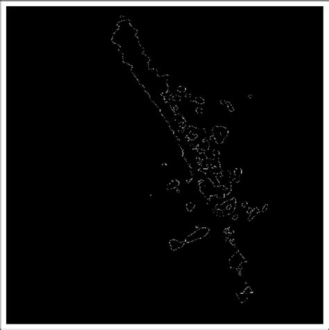the result of canny operator edge detection figure 13 the result of