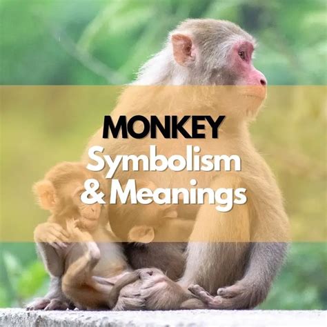 Monkey Symbolism Meanings And History Symbol Genie
