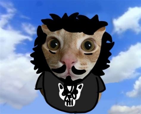 Cornell Cat Chris Cornell Audioslave Chris Cornell Music Pics