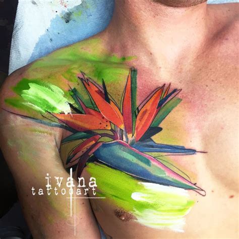 Bird Of Paradise