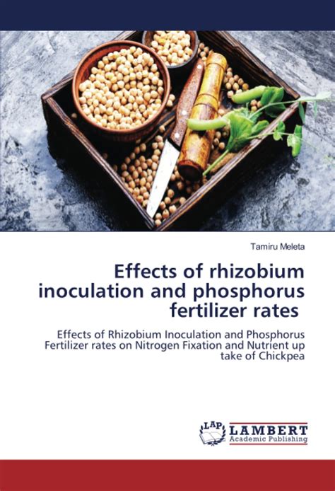 Effects Of Rhizobium Inoculation And Phosphorus Fertilizer Rates Effects Of Rhizobium