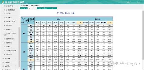 什么是中国式报表，中国报表与国外报表有何不同？ 知乎