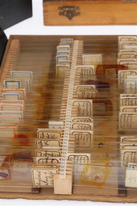 Lot 684 A Large Collection Of Microscope Path Lab