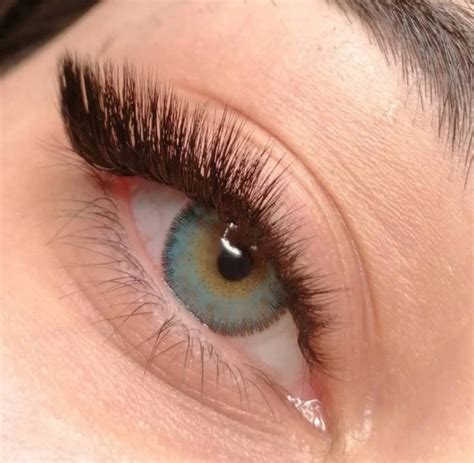 Cómo Crear Extensiones De Pestañas De Ojo De Gato Bosque Beauty