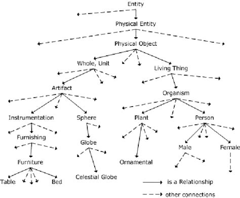 An Example Of Wordnet Nouns Taxonomy Download Scientific Diagram