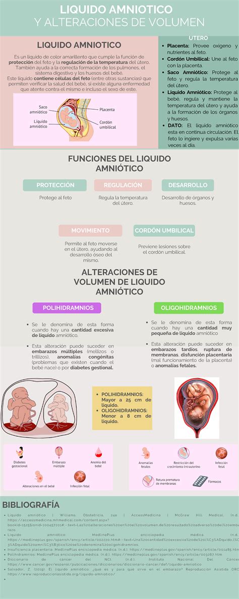 Infografía Sobre Líquido Amniótico Y Sus Alteraciones Laboratorio
