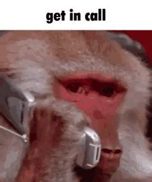 Phone Call Meme S Tenor