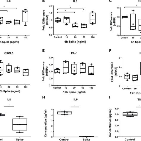 Sars Cov 2 S Protein Suppressed The Expression And Production Of