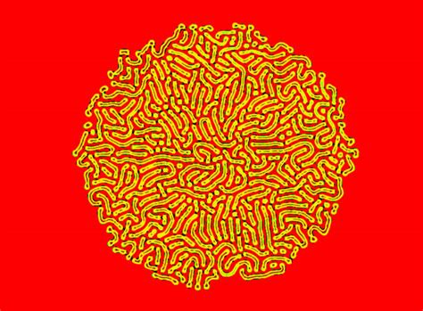 50 Staph Aureus Stock Illustrations Royalty Free Vector Graphics