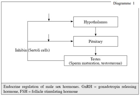 Traitement De Substitution Opiacée Par Méthadone Et Buprénorphine La Dysfonction Sexuelle