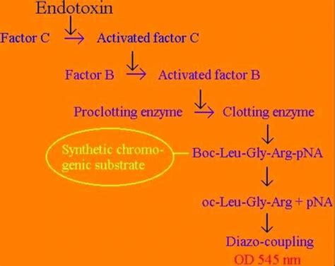 Lal An In Vitro Assay For Bacterial Endotoxins Gibson Albert