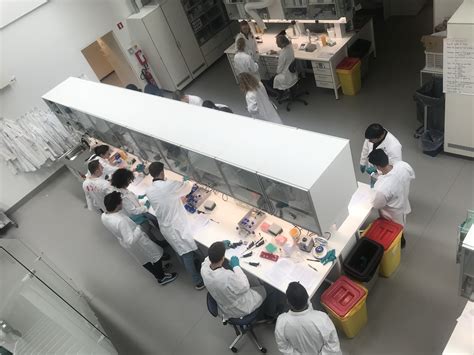 Characterisation Of Post Translational Modifications In Cellular Signalling