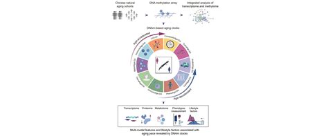 高程团队揭示干旱 植物 内生菌 病原菌互作的分子生态学机制广州大健康医药研究院