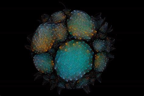 Big Data How Should We Make Sense Of Them