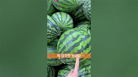 마트직원이 알려준 설탕 수박🍉 쉽게 잘 고르는 비법5가지 Youtube