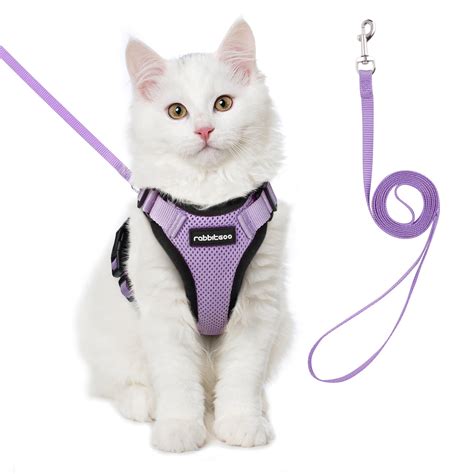 Cat Harness Instead Of Collar At Kevin Blankenship Blog