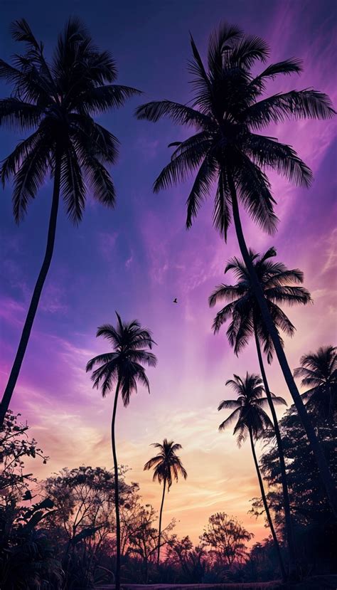 Serene Tropical Sunset With Silhouetted Palm Trees Mobile Wallpaper