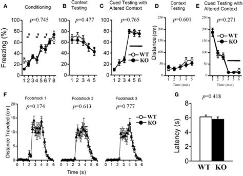 Contextual And Cued Fear Conditioning And Hot Plate Test Memory Download Scientific Diagram