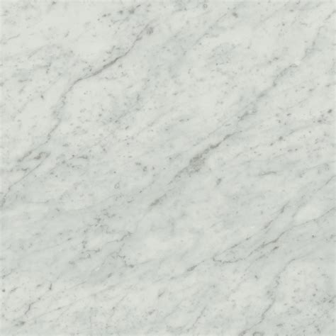 Exigo Carrara Signorino