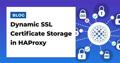 dynamic ssl certificate storage in haproxy r haproxy