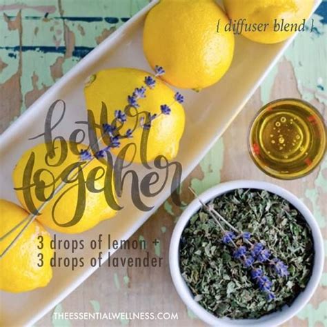 Lemon And Lavender Diffuser Recipes Diffuser Blends Essential Oils Herbs