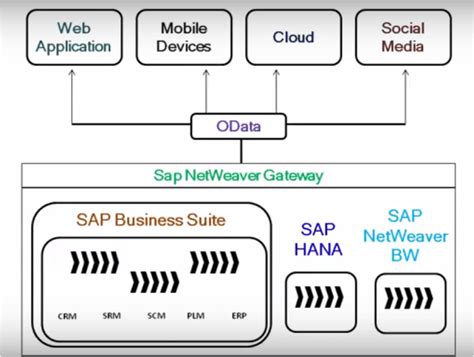Unveiling Sap Odata Faqs Part Vi Insights And Solutions