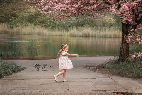 Yitty Mandel Photography