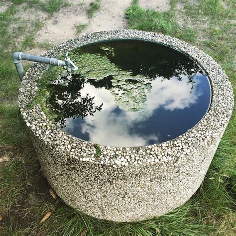 Images De Bassine Eau Téléchargement Gratuit Sur Freepik