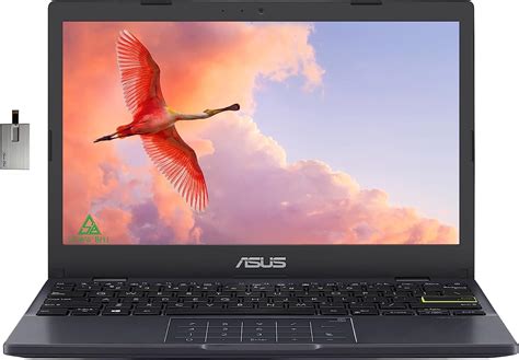 Asus E210 Celeron N4020 · Uhd Graphics 600 · 116” Hd 1366 X 768