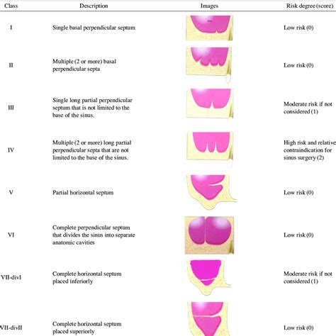 Classification Method Modified From Al Faraje Et Al 1 To Categorize Download Table