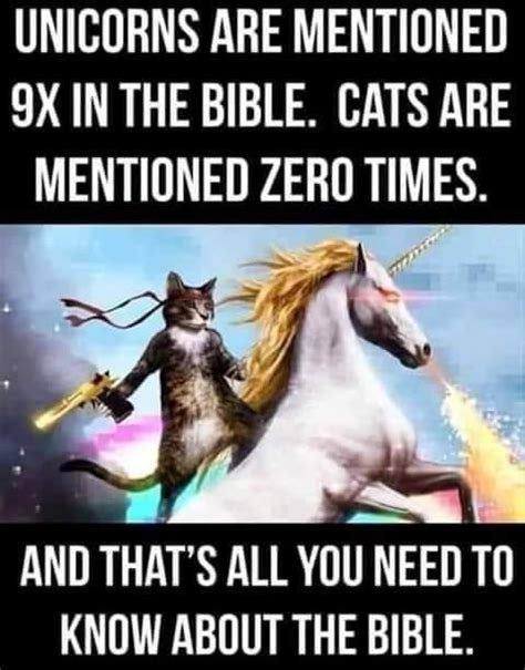 Facts R Memes Newstylee
