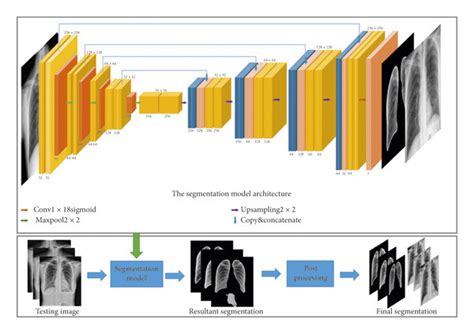 Segmentation Model Architecture Download Scientific Diagram