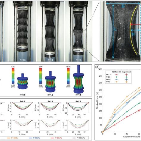 Linear Tension Piston Designs With Different Aspect Ratios A Skin Download Scientific Diagram