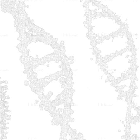 Dna Genetic Molecule 3d Model