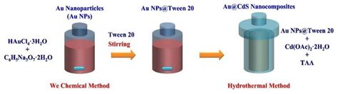 Schematic Diagram Of The Fabrication Processes For The Growth Of