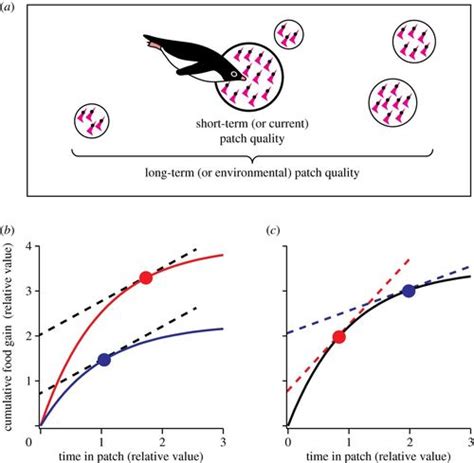 Testing Optimal Foraging Theory In A Penguinkrill System Proceedings Of The Royal Society B