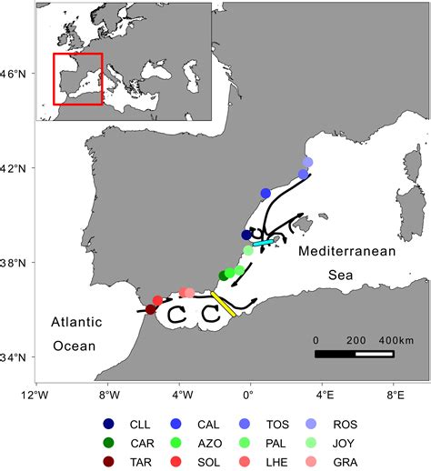 Metabarcoding Reveals High‐resolution Biogeographical And