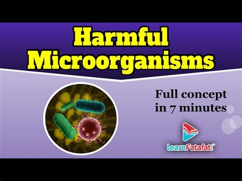 Harmful Microorganisms