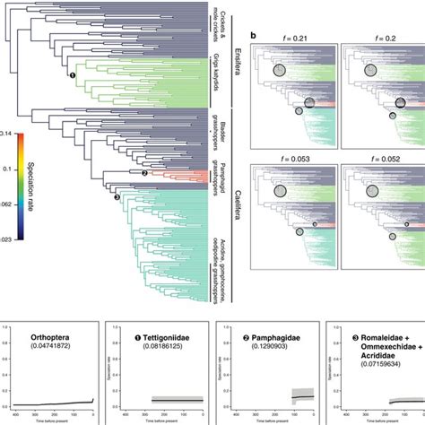 models of trait dependent diversification character reconstruction of