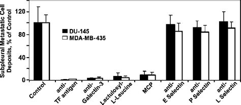 The Effect Of Various Function Blocking Monoclonal Antibodies And
