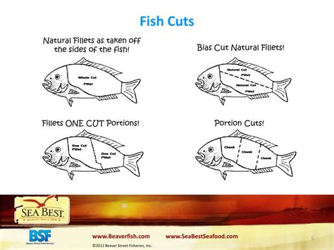 Ppt Seafood 101 Guide Powerpoint Presentation Free Download Id1641503