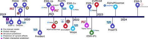 What Are Protein Language Models