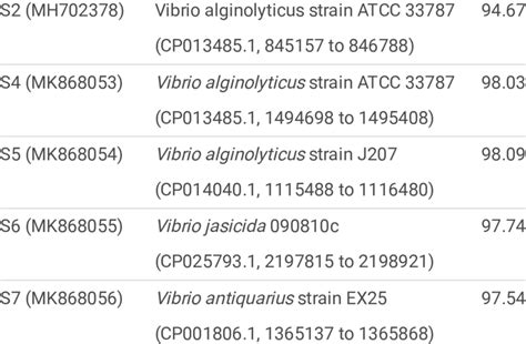 target sequences and the highest similarity sequences on ncbi genbank