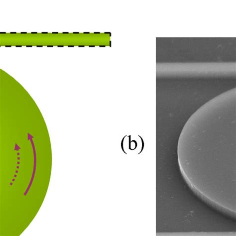 A Schematic Of A Two Mode Mdr Coupled With Two Bus Waveguides B A Download Scientific