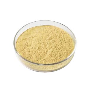 Lactobacillus Plantarum Rawplex