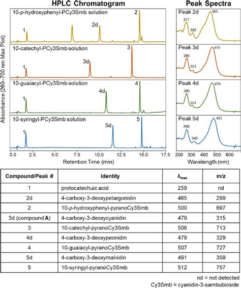 Uhplc Pda Ms Characteristics Of Hydroxyphenyl Pyranoanthocyanins Peaks