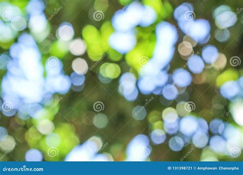 Bokeh Patterns In Gardenabstract Natural Background Stock Image Bokeh Patterns In Gardenabstract Natural Background Stock Image