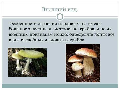 Разнообразие живых организмов ПРЕЗЕНТАЦИЯ УЧЕНИЦЫ 7 -А КЛАССА