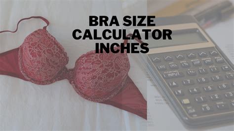 Bra Size Calculator Inches 2025