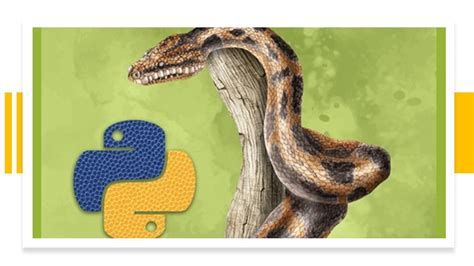 Curso Gratis De Udemy Desarrollador Profesional De Python